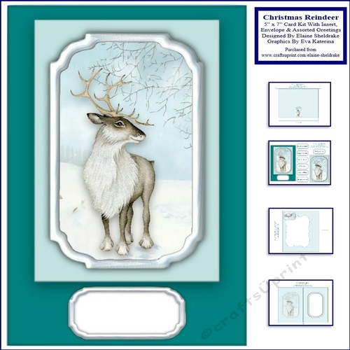5 x 7 Christmas Reindeer Card Kit With Matching Insert, Envelope ...