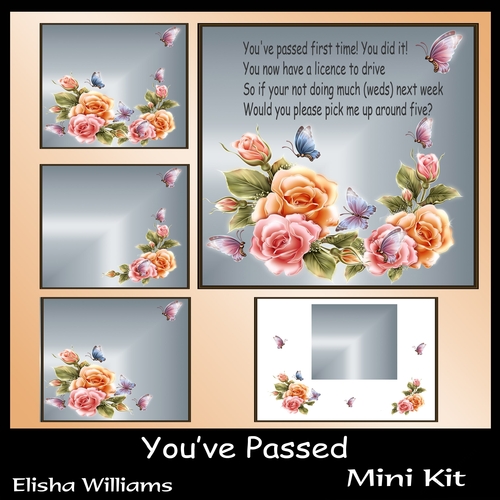 Youve Passed - CUP728386_2276 | Craftsuprint