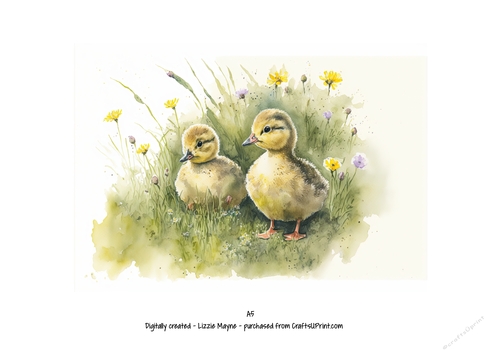 watercolour background of spring ducklings - CUP1195121_1940 | Craftsuprint