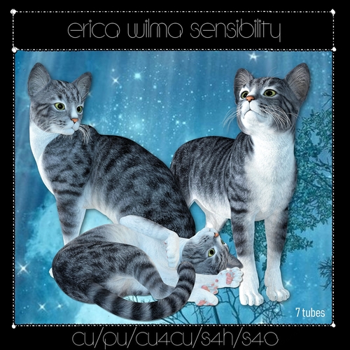 EW Cats 01 - CUP953945_93946 | Craftsuprint