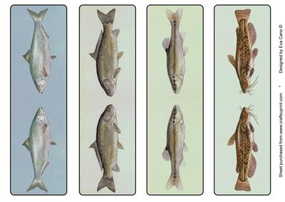 Fish Bookmarks - CUP115923_750 | Craftsuprint