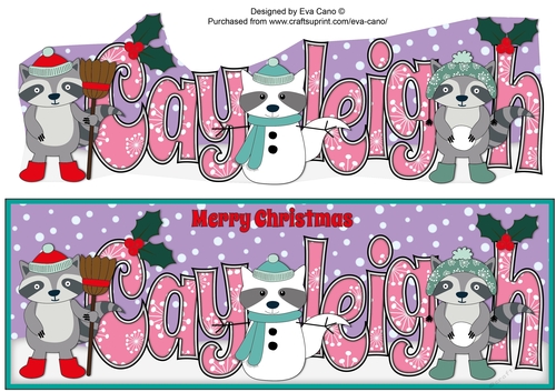 Christmas Rocky the Racoon with Snowracoon CAYLEIGH large dl ...