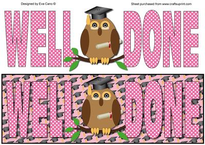 Graduation Owl Large Dl (pink) - CUP169381_750 | Craftsuprint
