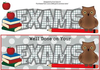 Wise Owl Exams Large Dl - CUP563331_750 | Craftsuprint