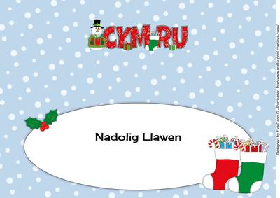 Welsh Merry Christmas from Wales Large Dl Insert - CUP653066_750 ...