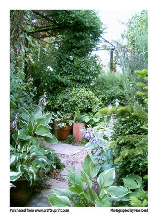 The Hosta Walk - CUP204152_825 | Craftsuprint