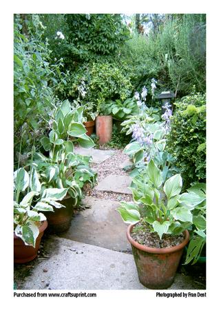 The Hosta Walk 2 - CUP204154_825 | Craftsuprint