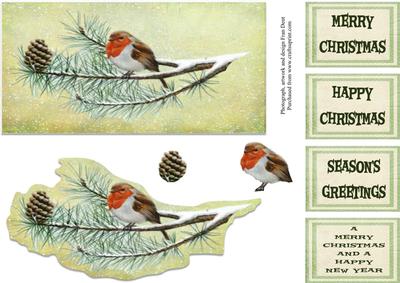 Christmas Robin Step by Step - CUP344044_825 | Craftsuprint