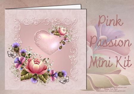 Pink Passion Mini Kit - CUP423223_825 | Craftsuprint