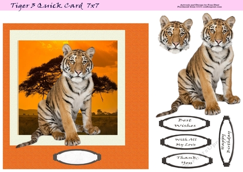 Tiger 3 Quick Card 7x7 - CUP873490_825 | Craftsuprint