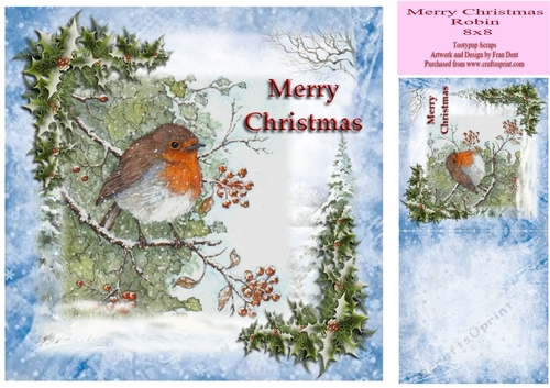 Merry Christmas Robin - CUP904053_825 | Craftsuprint