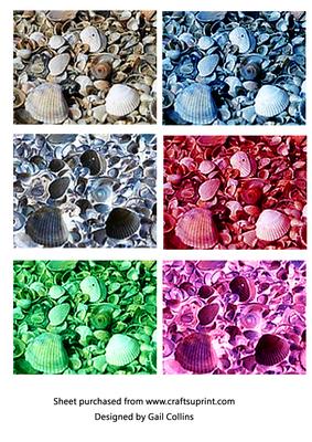 Sea Shell Toppers - CUP218880_695 | Craftsuprint