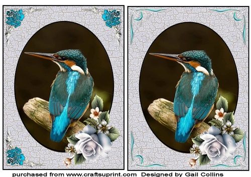 kingfisher - CUP781219_695 | Craftsuprint