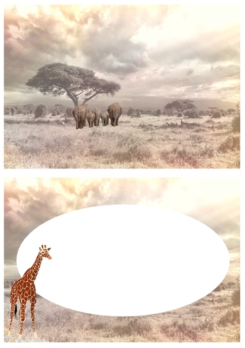 Insert for Safari Phone card design cup818960_3656 - CUP838710_3656 ...