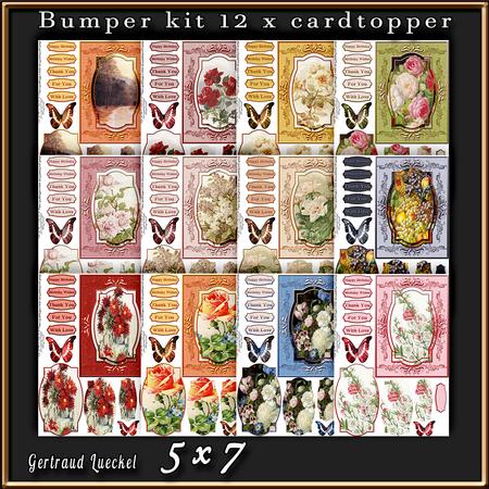 12 x Cardtopper Bumper Kit 2 - CUP618874_2166 | Craftsuprint
