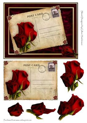 Blank Red Rose Post Card - CUP292404_1443 | Craftsuprint