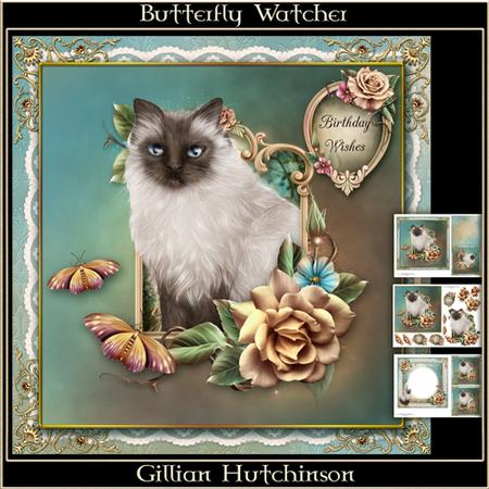 Butterfly Watcher - CUP638034_1443 | Craftsuprint