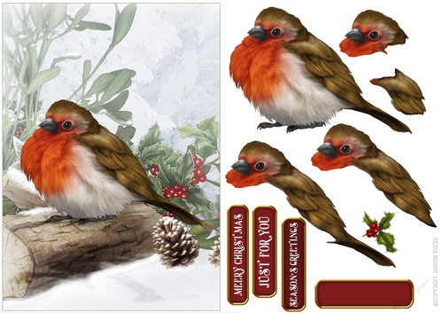 Snowy Robin - CUP1076335_437 | Craftsuprint