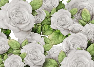Rose Backing Paper Silver - CUP387123_437 | Craftsuprint