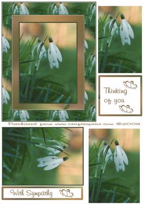 Sympathy Snowdrop - CUP31752_107 | Craftsuprint