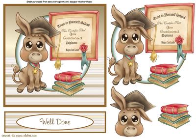 Donkey Graduation - CUP491415_107 | Craftsuprint