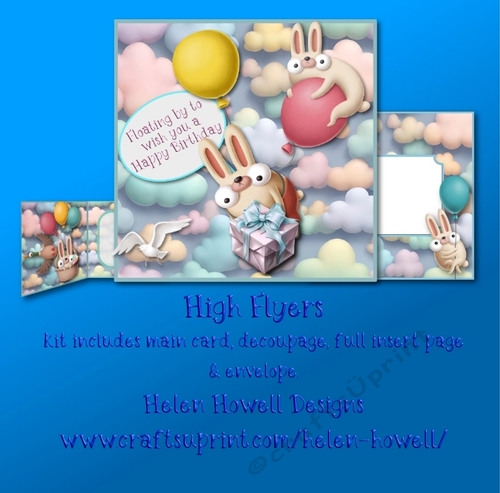 High Flyers - Suitable for Male/female/children - CUP1275318_37881 ...