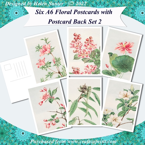 Floral A6 Postcards with Postcard Back Set 2 - CUP1144072_92133 ...