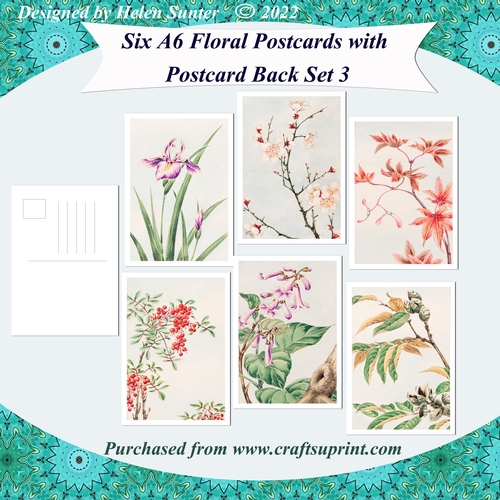 Floral A6 Postcards with Postcard Back Set 3 - CUP1144073_92133 ...
