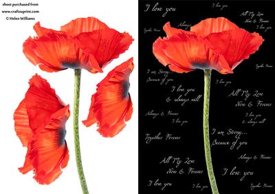 Poppy & Words Step by Step - CUP171013_443 | Craftsuprint