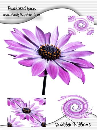 Osteo Daisy Cu4cu Image - CUP182667_443 | Craftsuprint