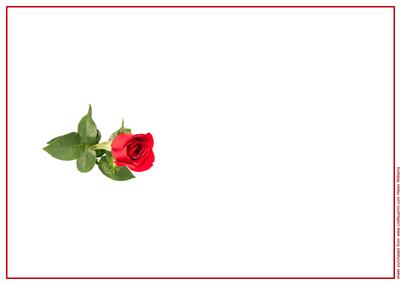 Single Red Rose Ink Saving Insert - CUP318849_443 | Craftsuprint