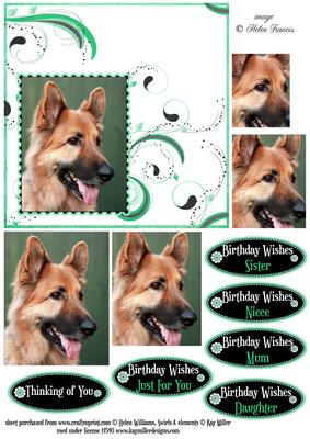 German Shepherd & Swirls Pyramid Card Front 6inch - CUP322935_443 ...