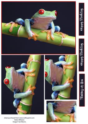 Green Tree Frog 7x5inch Pyramid - CUP98273_443 | Craftsuprint