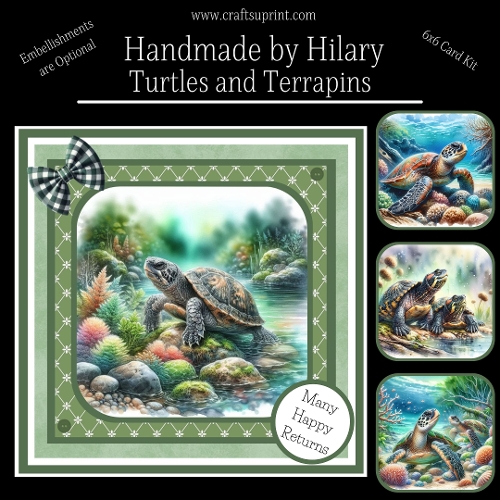 Turtles and Terrapins - CUP1365942_118824 | Craftsuprint
