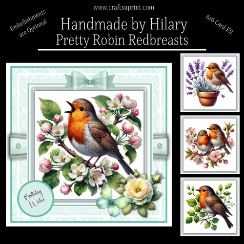Pretty Robin Redbreasts - CUP1366220_118824 | Craftsuprint
