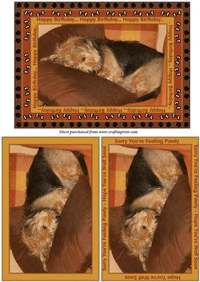 Snuggly Little Dog - CUP143615_819 | Craftsuprint