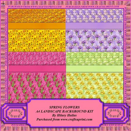 Spring Flowers A4 Landscape Background Kit - CUP610715_819 | Craftsuprint