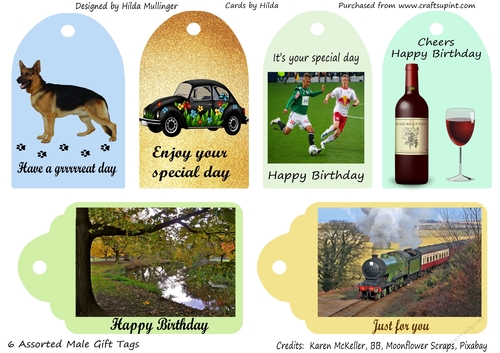 6 ASSORTED MALE GIFT TAGS - CUP966198_10778 | Craftsuprint