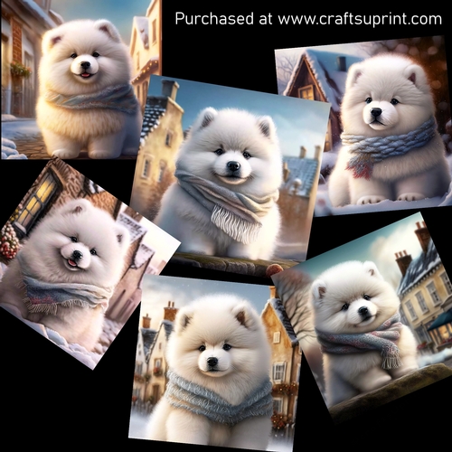 Cuteness overload - samoyed puppy - CUP1219946_123648 | Craftsuprint