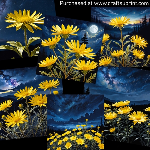 Midnight aster CARD FRONTS - CUP1309312_123648 | Craftsuprint