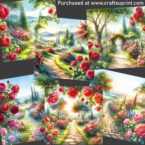 Rose path 2 - CUP1361901_123648 | Craftsuprint