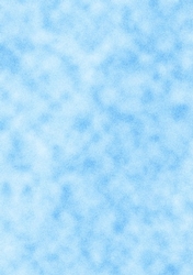 Trans Pride [A4] Paper 02 - Photo by Sharon Wilson