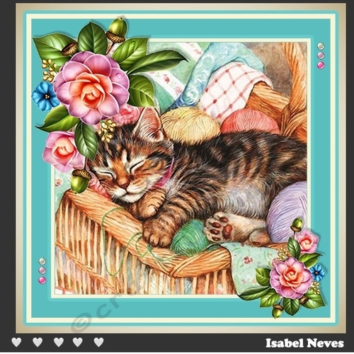 Cat Nap - CUP1152917_2073 | Craftsuprint