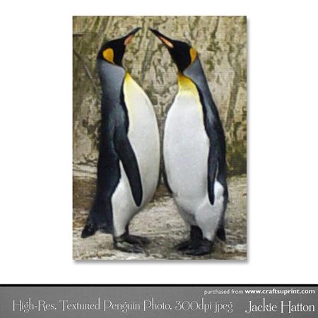 High-res, Textured Photo of Penguins - CUP292386_1514 | Craftsuprint