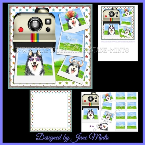 SNAP HAPPY HUSKY - CUP1034646_57683 | Craftsuprint