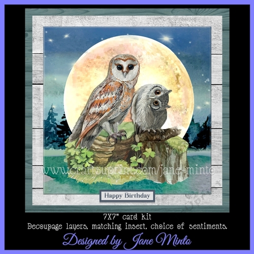 NIGHT OWLS MINI KIT - CUP1097658_57683 | Craftsuprint