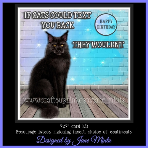 IF CATS COULD TEXT - CUP1147060_57683 | Craftsuprint