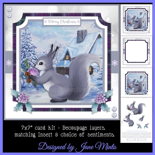 WINTER SQUIRREL - CUP1170421_57683 | Craftsuprint