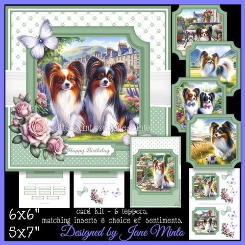 PAPILLON set 1 - CUP1297595_57683 | Craftsuprint