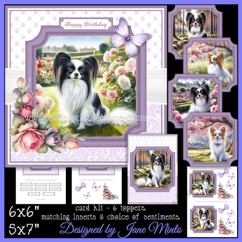 PAPILLON set 2 - CUP1297597_57683 | Craftsuprint